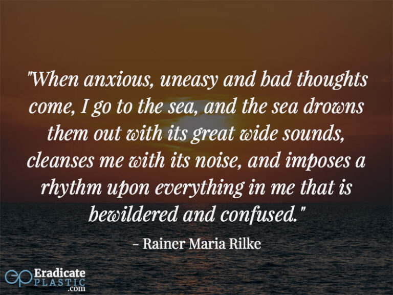 25 inspiring quotes about the ocean - Eradicate Plastic