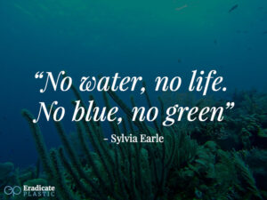 25 inspiring quotes about the ocean - Eradicate Plastic
