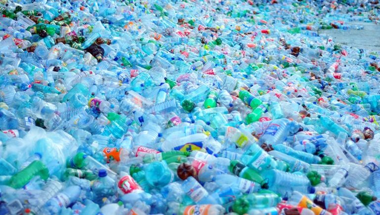 3 incredible scientific solutions to plastic pollution - Eradicate Plastic