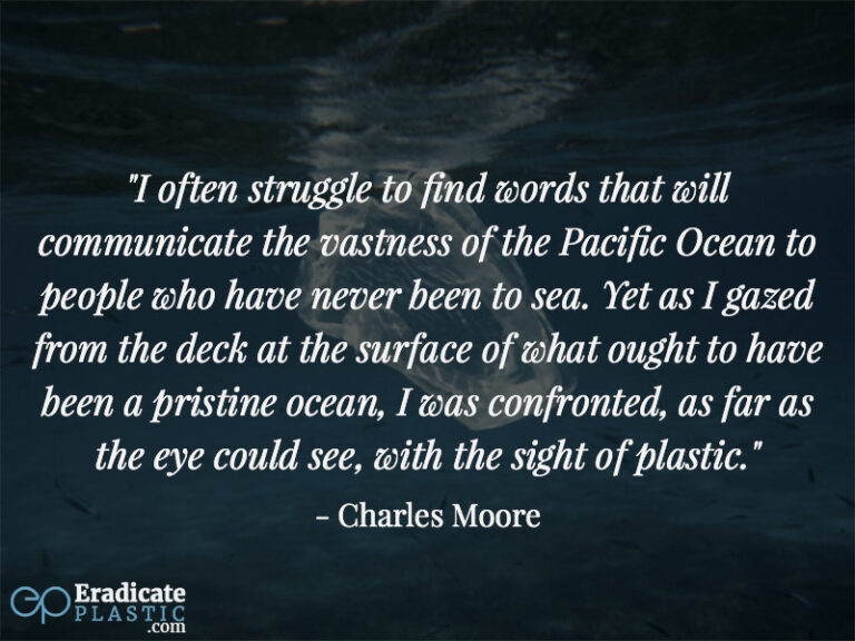 25 inspiring quotes about the ocean - Eradicate Plastic